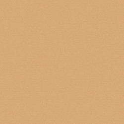 Craft paper texture carton board empty cardboard Vector Image