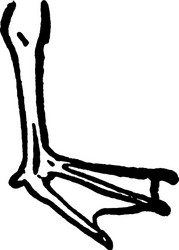 Duck Feet Vector Images (over 540)
