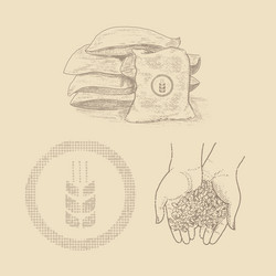 Palm Kernel Vector Images (over 110)