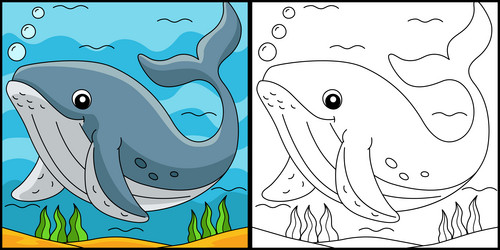 Humpback whale coloring page for kids Royalty Free Vector
