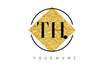 Golden letters th t h logo with leading lines Vector Image