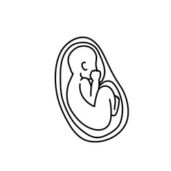 Human fetus development line art Royalty Free Vector Image