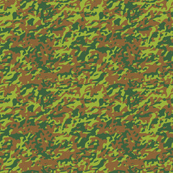 Camouflage military texture background soldier Vector Image