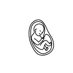 Human fetus development line art Royalty Free Vector Image