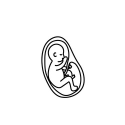 Human fetus development line art Royalty Free Vector Image