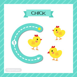 Chicken Flashcard Vector Images (over 110)