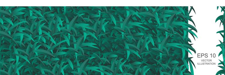 Grassy Field Vector Images (over 480)