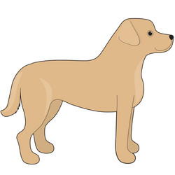 Labrador Vector Images (over 10,000)