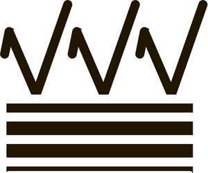 Protection against external factors icon Vector Image