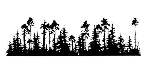 Hand drawn forest silhouette design trees Vector Image