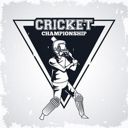 Cricket player icon Royalty Free Vector Image - VectorStock