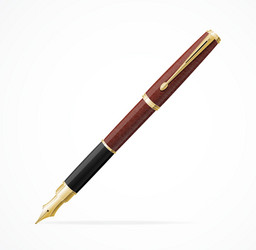 Close up of a fountain pen and signature Vector Image