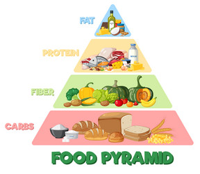 Cartoon food pyramid nutrition infographic Vector Image