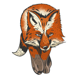 Fox Vector Images (over 54,000)