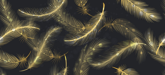 Decorative feathers seamless Royalty Free Vector Image