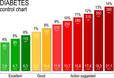 Impact of diabetes mellitus infographics health Vector Image