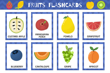 Fruits flashcards set flash cards collection Vector Image