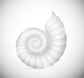 Seashell Shell Helix Vector Images (over 180)