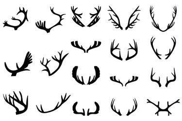 Deer horns Royalty Free Vector Image - VectorStock
