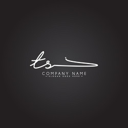 Initial letter ts logo - handwritten signature Vector Image