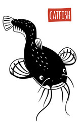 Catfish Vector Images (over 2,200)