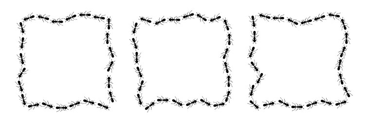 Black ants square border forming rectangular Vector Image