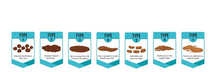 Bristol Scale Vector Images (24)