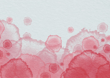 Pink color drop on red paper background Royalty Free Vector