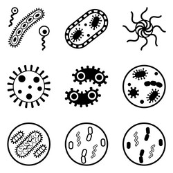 Bacteria flat icon set isolated on white Vector Image