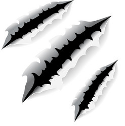 Claw Rip Vector Images (over 990)