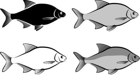 Bream Fish Vector Images (over 870)