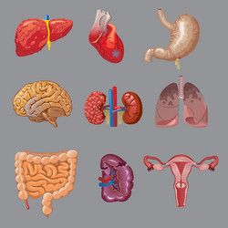 Cartoon human body parts composition Royalty Free Vector