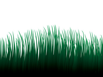 Grass Vector Images (over 340,000)