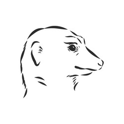 Meerkat icon animal sign sketch Royalty Free Vector Image