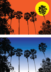 Palm Sugar Vector Images (over 820)