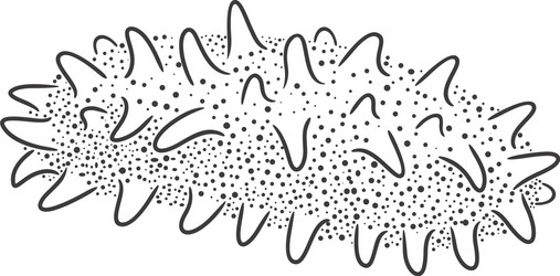 Sea Cucumber Vector Images (over 1,500)