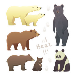 Set of three different bears Royalty Free Vector Image