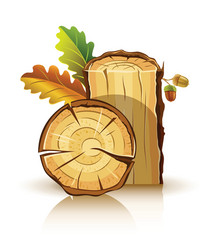 Oak tree branch with acorns Royalty Free Vector Image