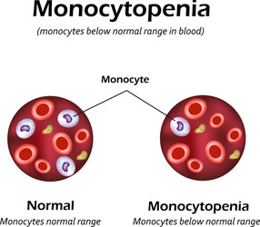 Neutrophils below the normal range in blood Vector Image