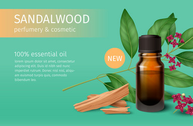 Sandalwood Tree Sandal Vector Images (98)