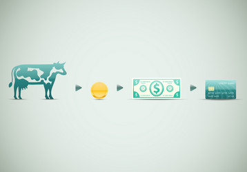 History of money evolution cash transformation Vector Image