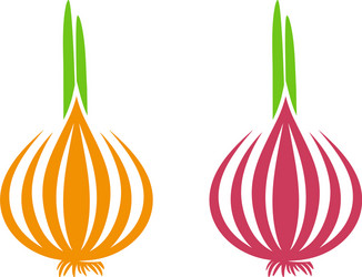 Onion vegetable isolated on white Royalty Free Vector Image