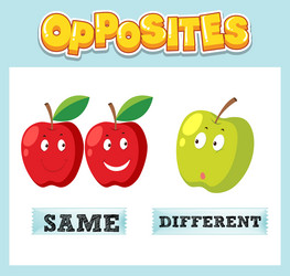 Opposite words for same and different Royalty Free Vector