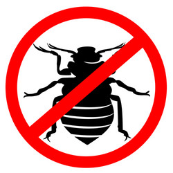 Anti termite symbol Royalty Free Vector Image - VectorStock
