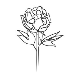 Continuous line drawing of simple flower Vector Image