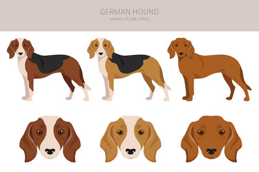 German hound clipart different coat colors set Vector Image
