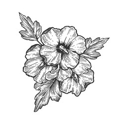 Flower Scratch Vector Images (over 2,900)