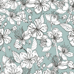 Realistic sakura hand drawn set with buds flowers Vector Image