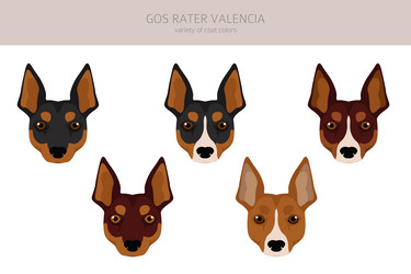 Majorca ratter clipart all coat colors set all Vector Image