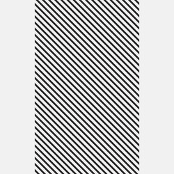 Black and white background with slanted lines Vector Image